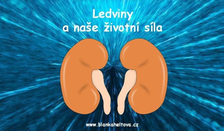 Ledviny a naše vnitřní životní síla